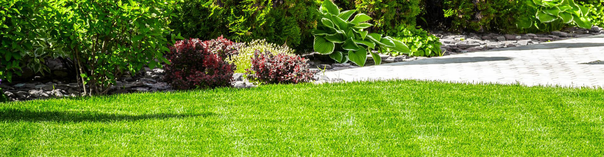 Disease Control - Bowman's Best Lawn Care